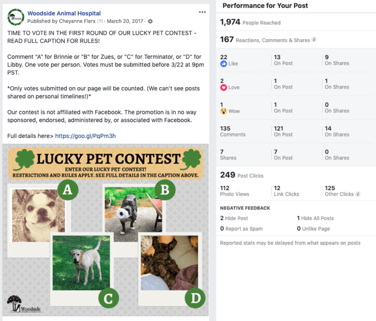 Complete Guide to Facebook Pet Photo Contests for Veterinary Hospitals