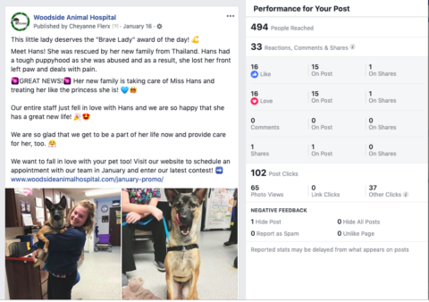 3 Veterinary Hospital Facebook Posts That Engage & Increase Reach