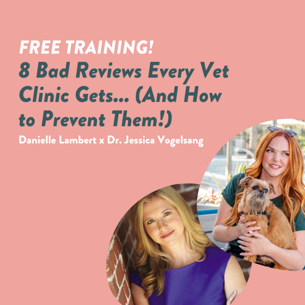 8 Bad Reviews Every Vet Clinic Gets... (And How to Prevent Them!)