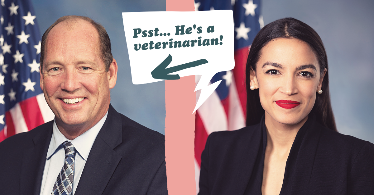AVMA must address member Ted Yoho's alleged "b*tch" comment to AOC ...